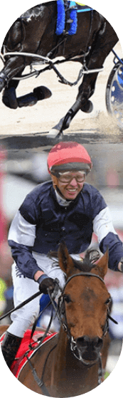 DynamicOdds