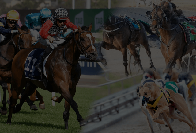 DynamicOdds